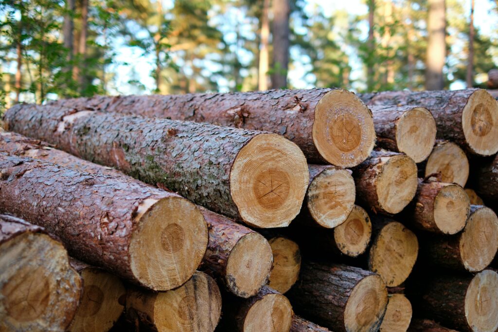 FSC® - Forest Stewardship Council® - Control Union Japan